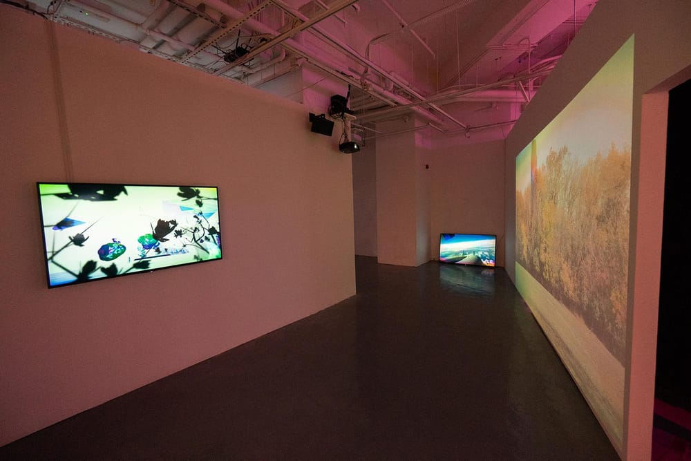 Wang Xin: PPS | Interactive Installation | K11 & de Sarthe Gallery